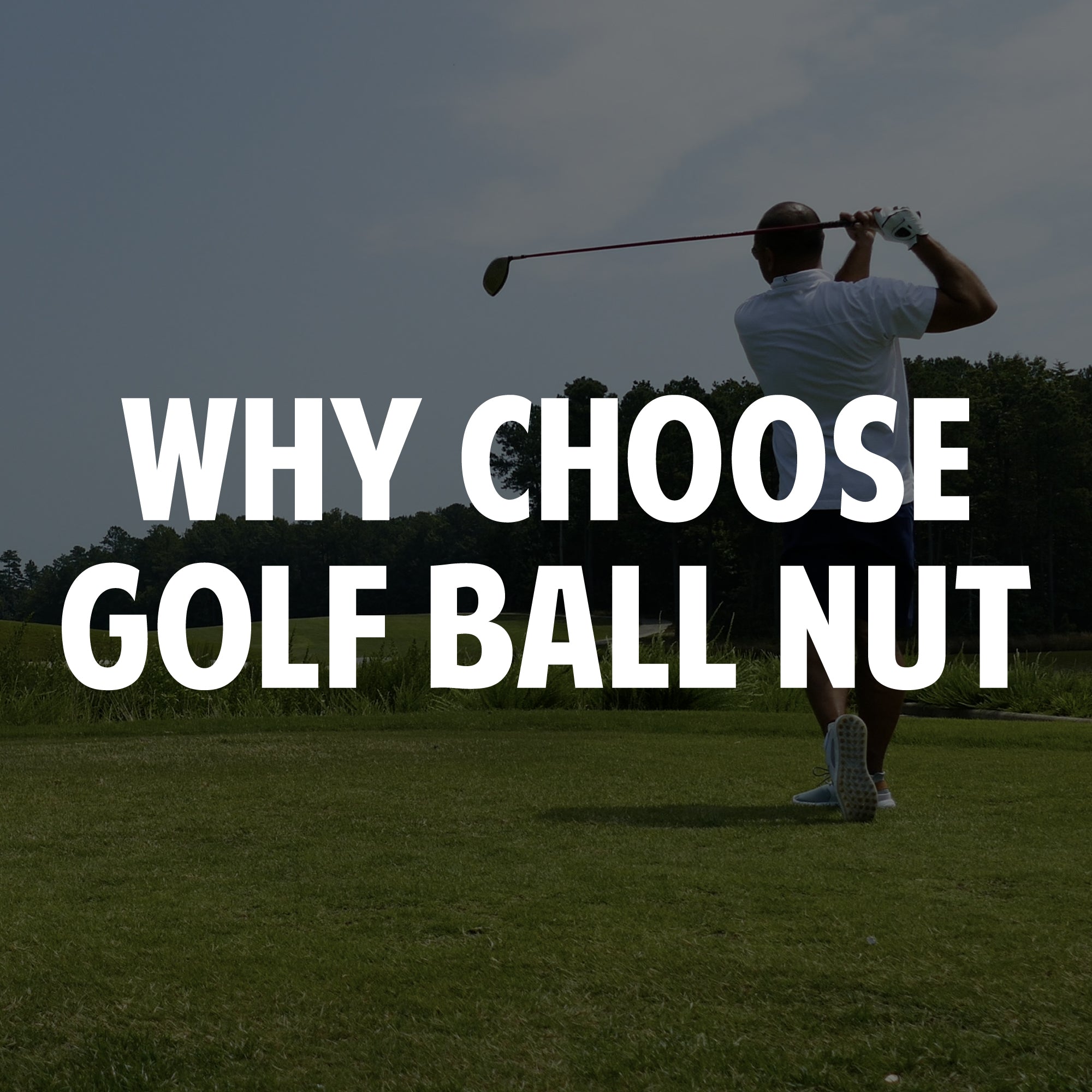 Golf Ball Nut | The Best Used Golf Balls – GolfBallNut