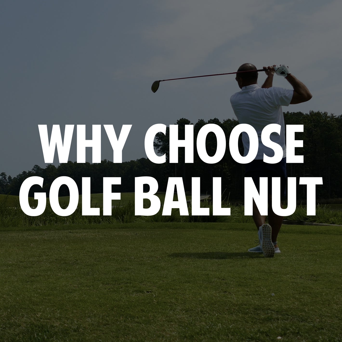 Golf Ball Nut | The Best Used Golf Balls – GolfBallNut